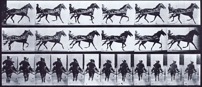 Muybridge Art Refrence - Horse Pacing Harnessed To Sulky Male Rider ...